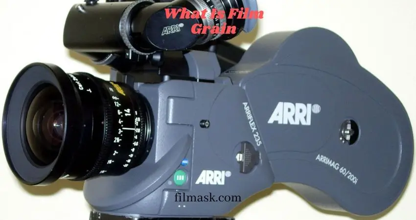 What is Film Grain? (Updated Information with Example)